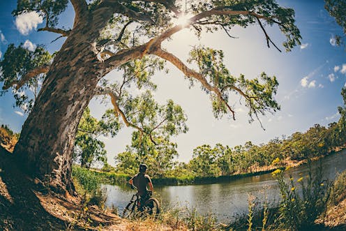 Sturt Gorge Recreation Park - Flagstaff Hill, Attraction