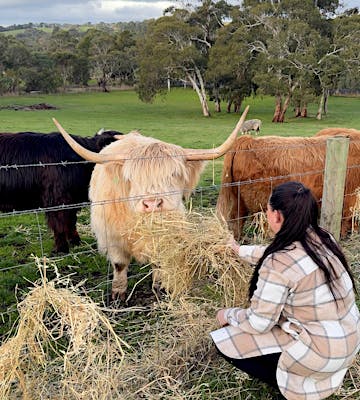 Wildhand Farm - Willunga Hill, Attraction | South Australia