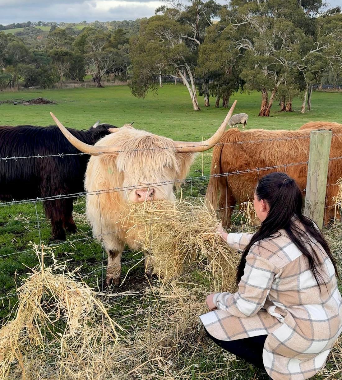 Wildhand Farm - Willunga Hill, Attraction