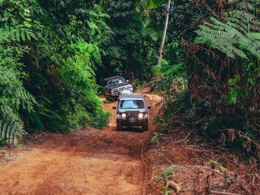 Simba Car Hire Cairns Airport | Hire | Queensland