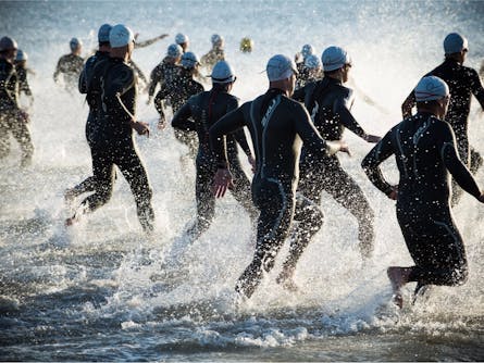 Kangaroo Valley NSW - Plan a Holiday - Hotels, Beaches & more