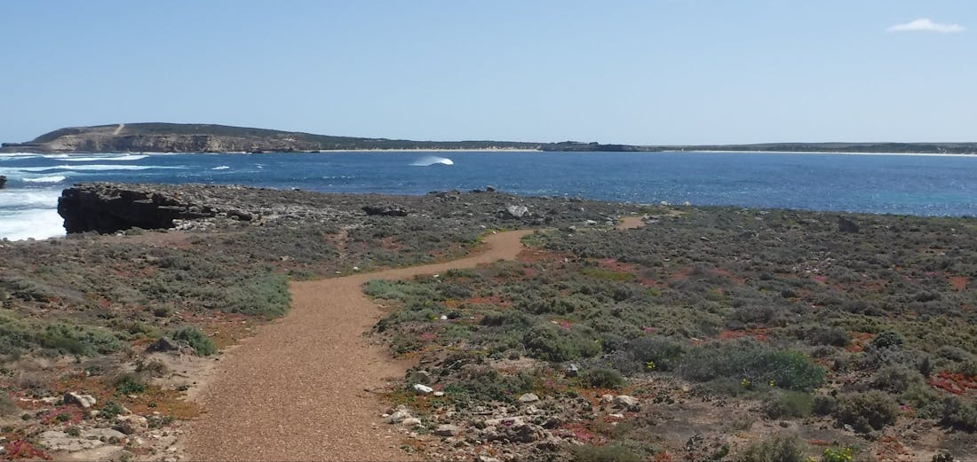 Elliston Coastal Trail - Elliston, Attraction | South Australia