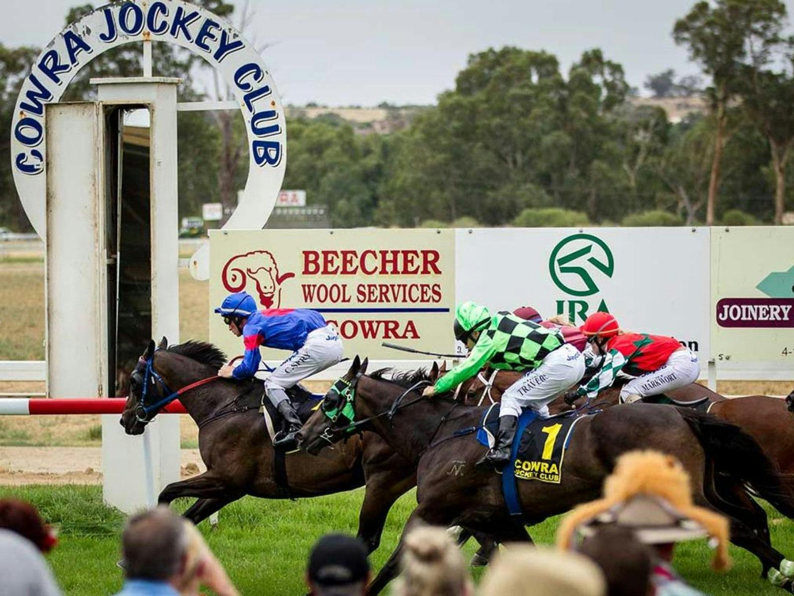 Cowra Cup Rennen | NSW Holidays & Accommodation, Things to Do ...