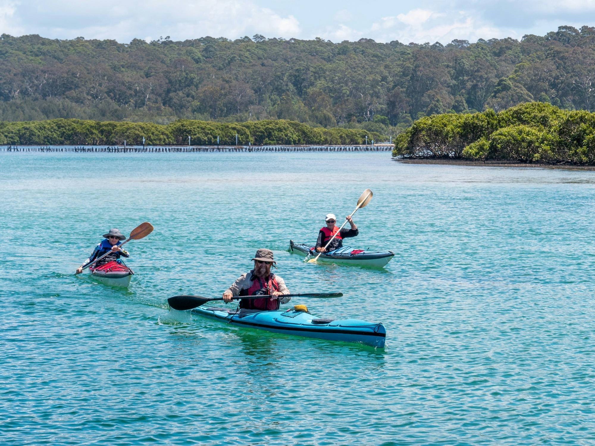 Kayak and Shuck, Pambula River, South Coast NSW | NSW Holidays ...