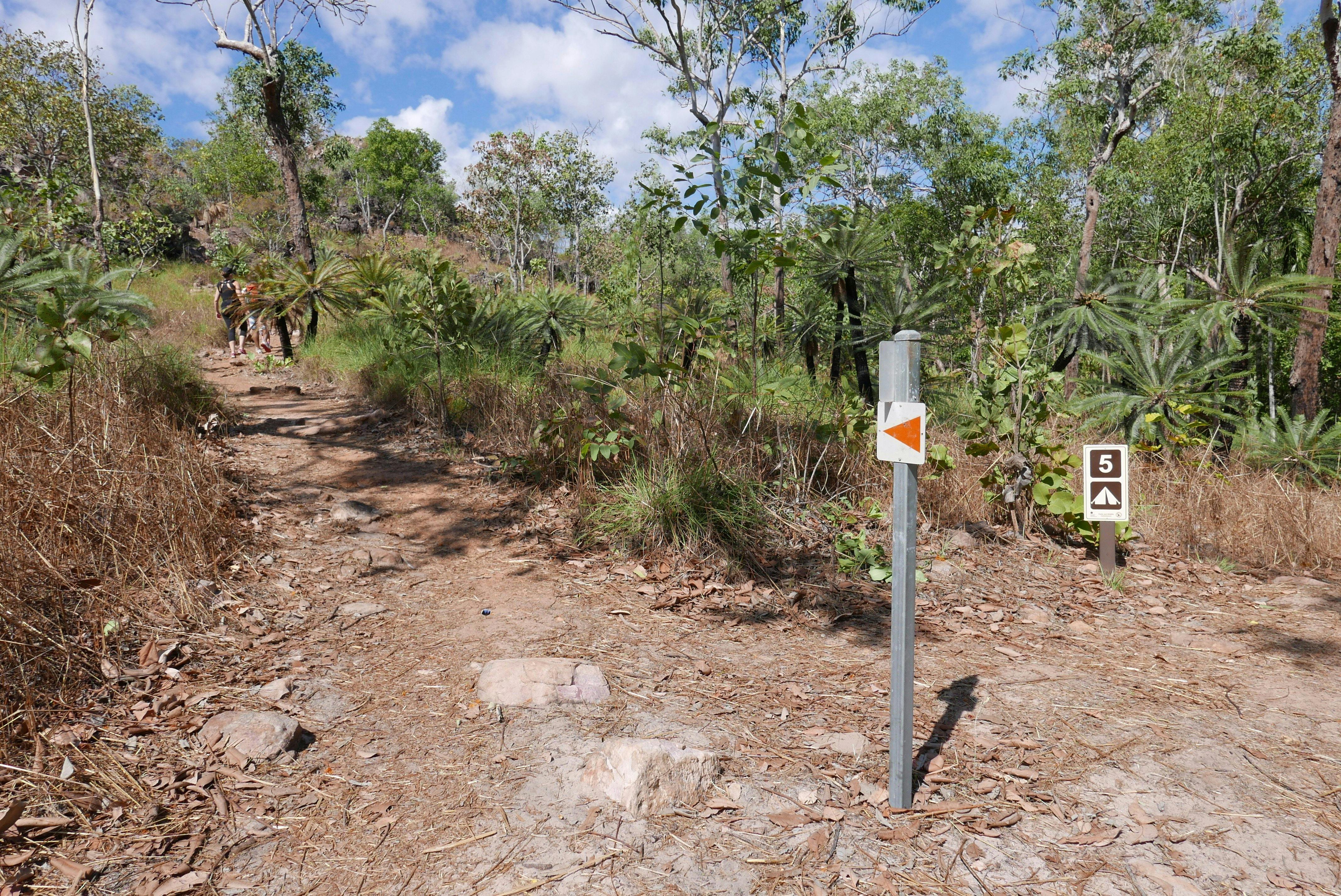 Walker Creek | Things to do in Litchfield National Park