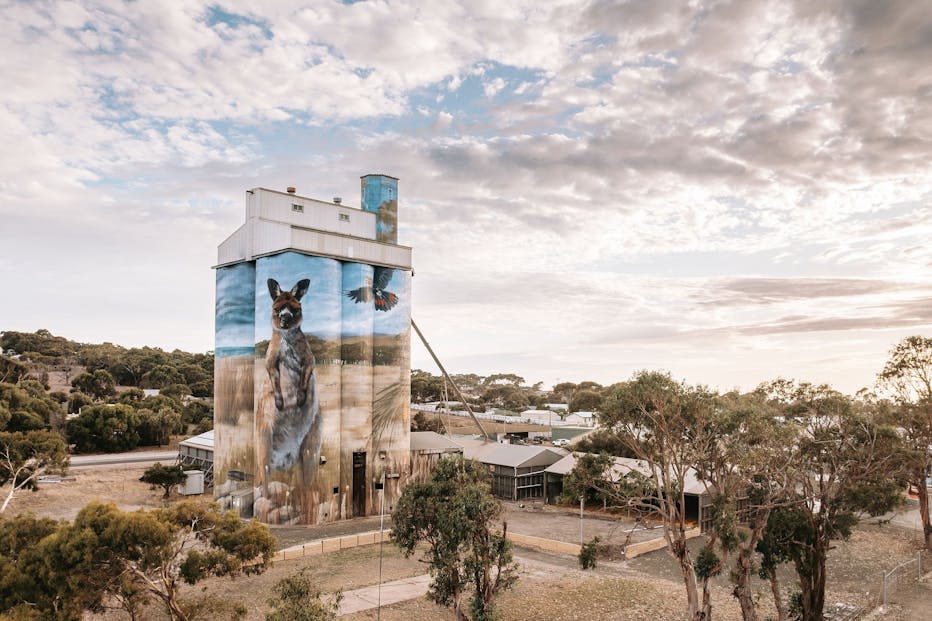 Kingscote Silo Art • Kangaroo Island, South Australia