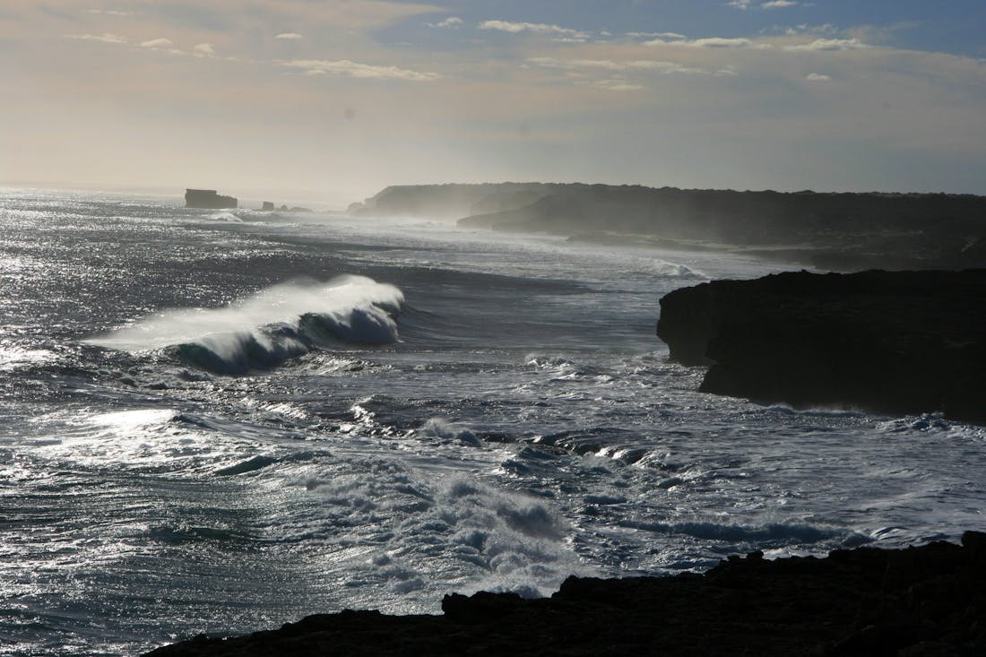 Wahgunyah Conservation Park - Coorabie, Attraction | South Australia