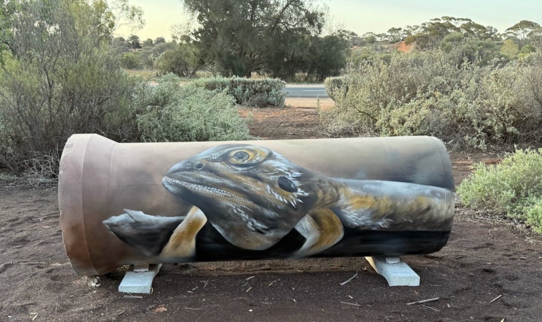 Loxton Mini Silo Art Trail - Loxton, Attraction | South Australia