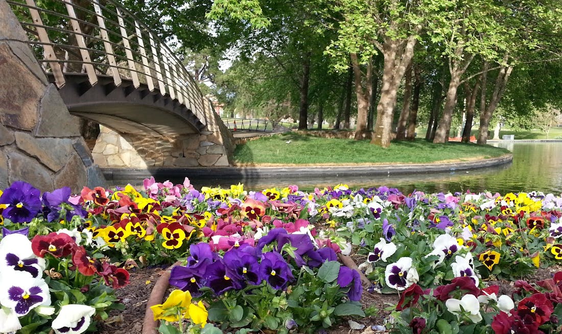 Guided Walk through Rymill Park / Murlawirrapurka (Park 14), Tour...