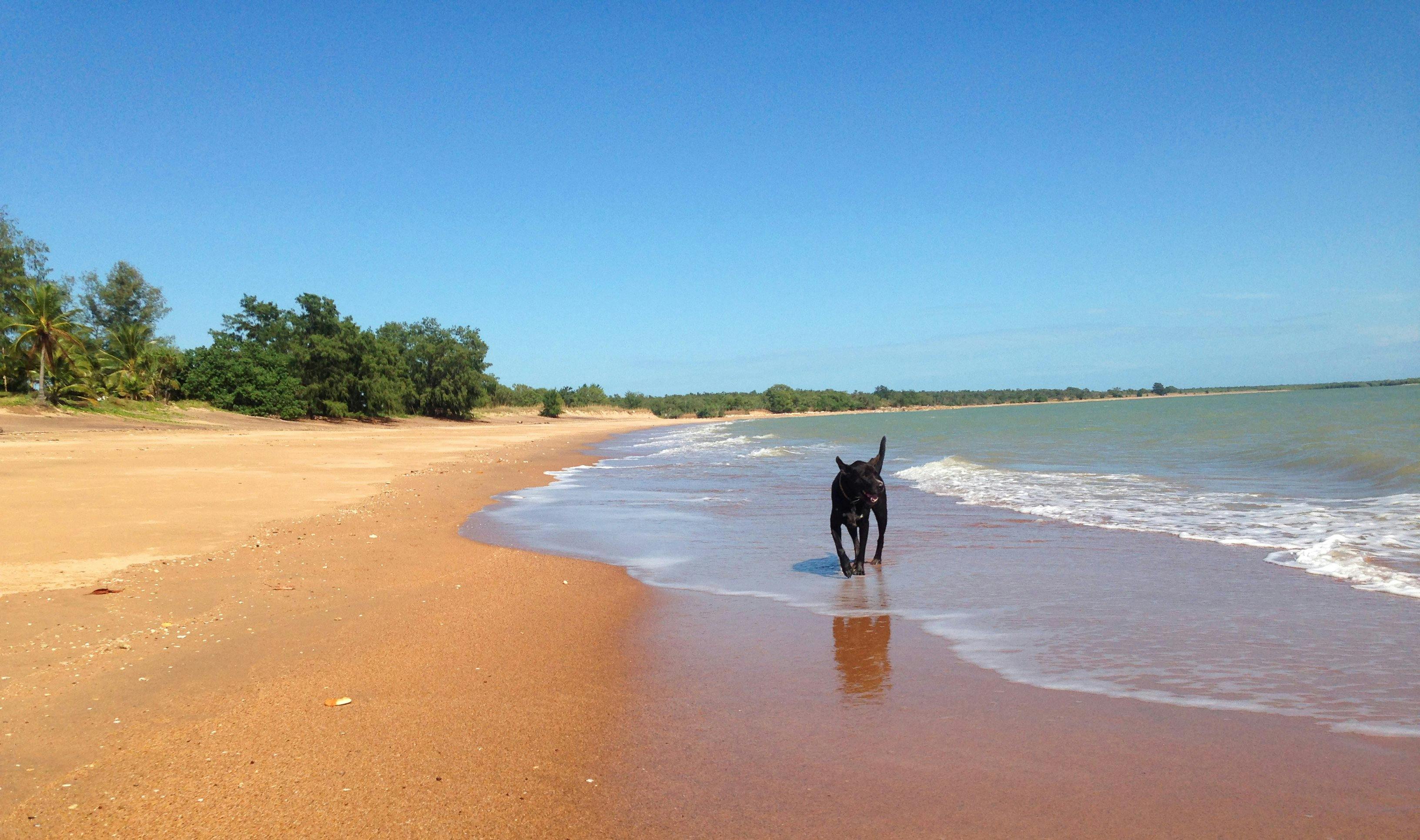 Wagait Beach | Things to do in Darwin & Surrounds | NT, Australia