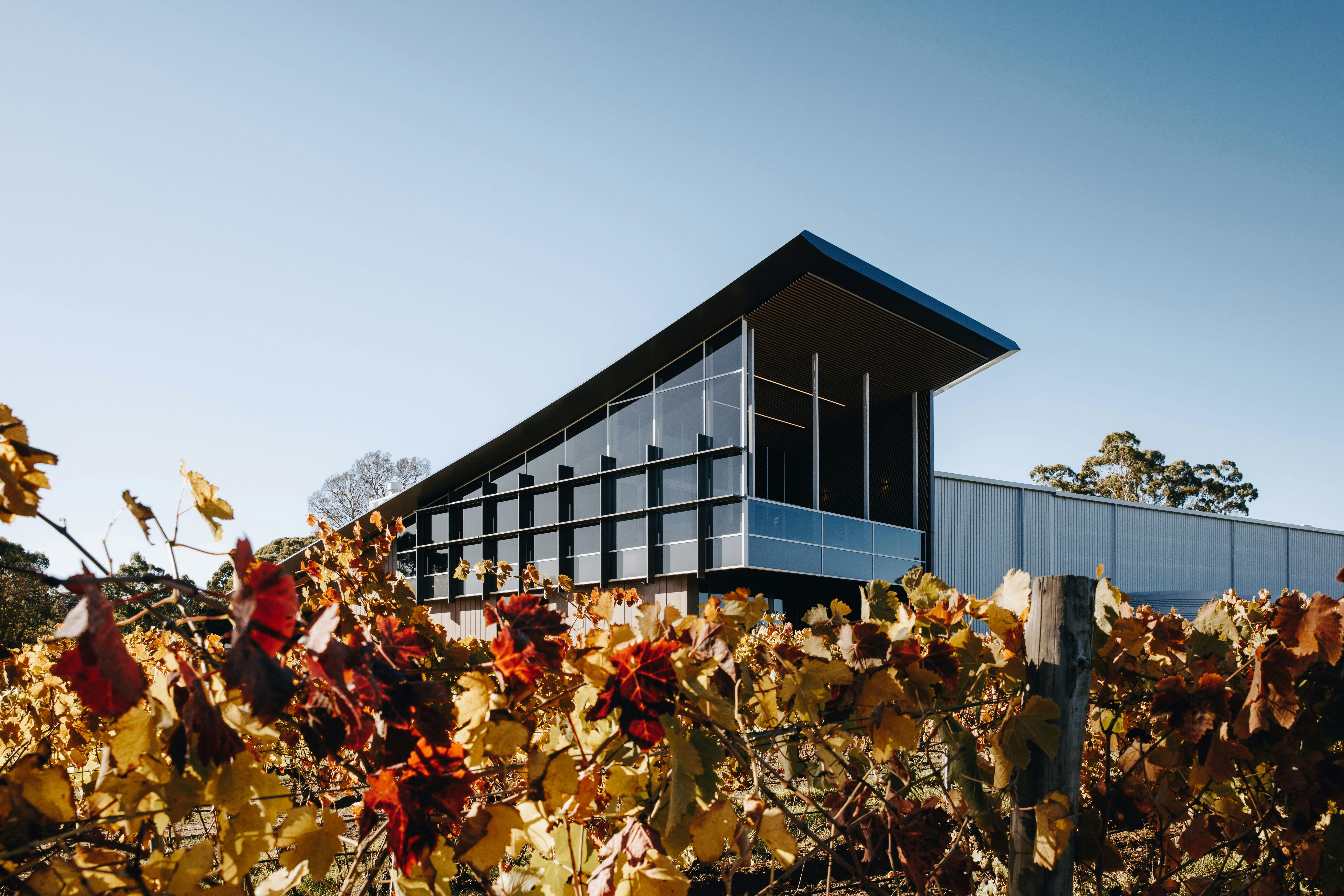 Yangarra Estate Vineyard | McLaren Vale