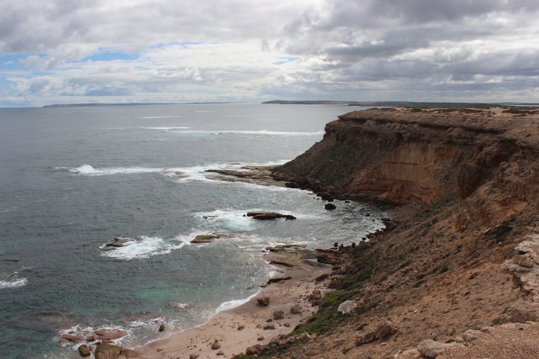 Point Labatt Conservation Park - Streaky Bay, Attraction | South ...