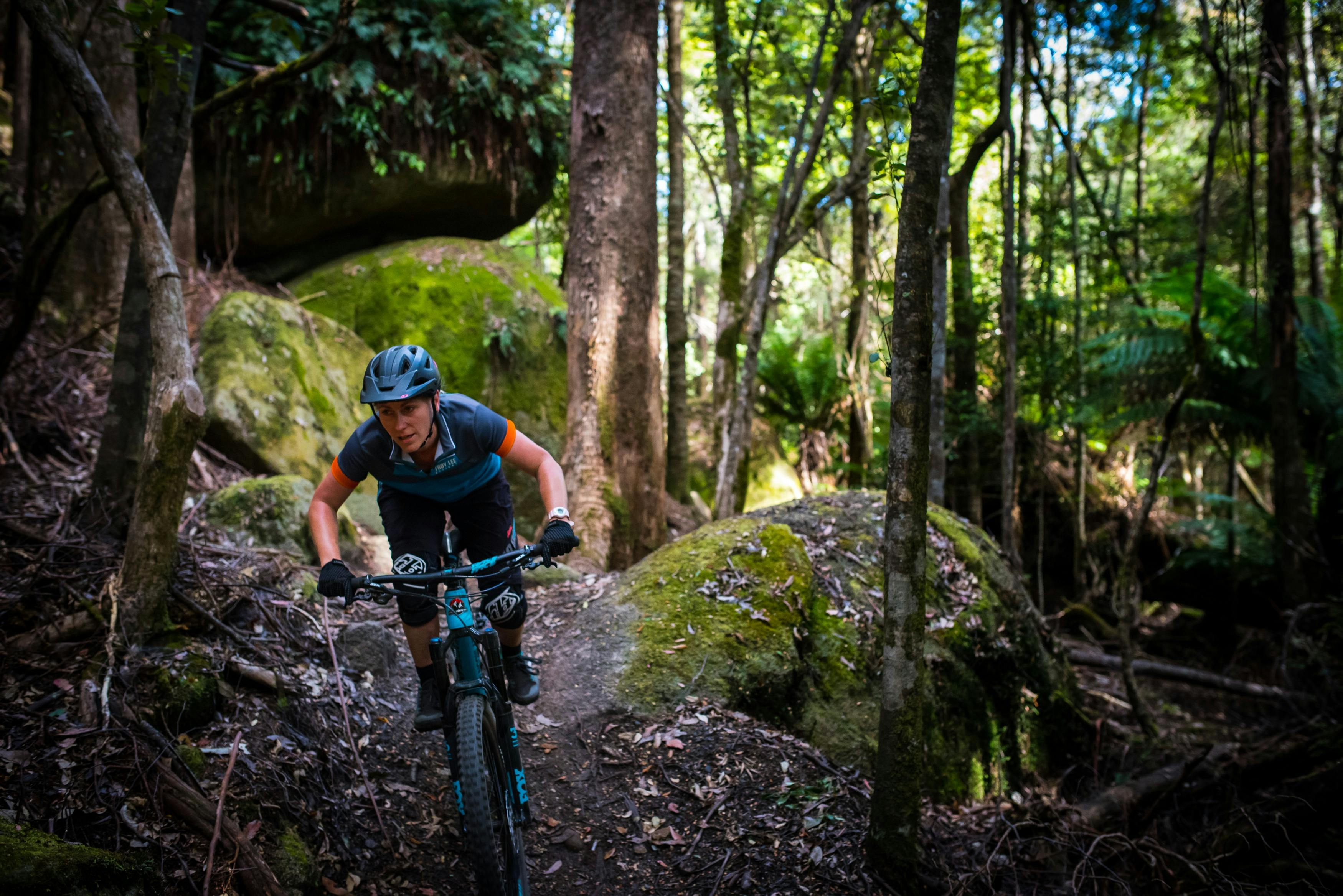 Derby Mountain Biking | Tour | Discover Tasmania