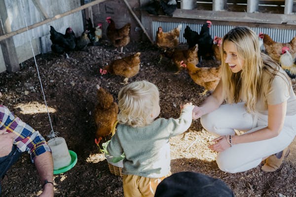 Jamberoo Valley Farm Cottages - Destination Kiama