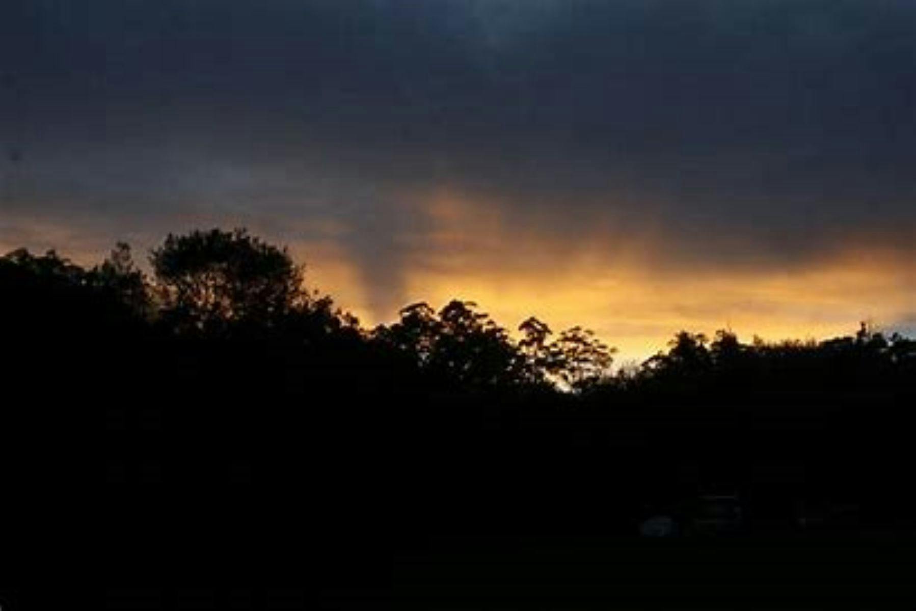 Shallow Crossing Camping Ground - Shoalhaven - South Coast NSW