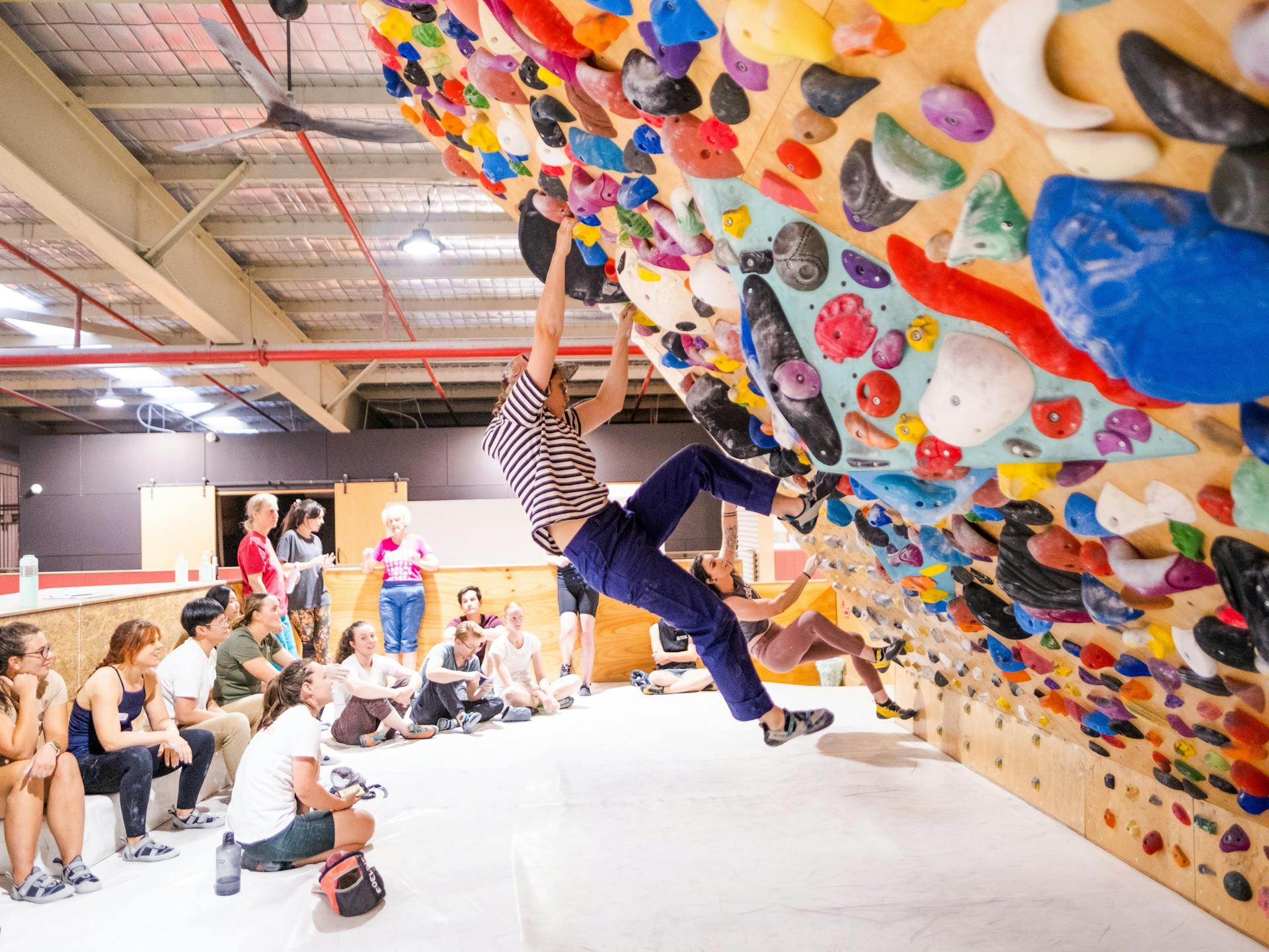 BlocHaus Bouldering Canberra – Fyshwick in Fyshwick - The Fold: Your ...