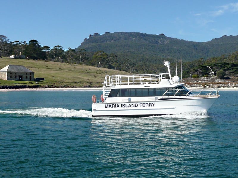 Maria Island Ferry and Eco Cruises - Discover Tasmania