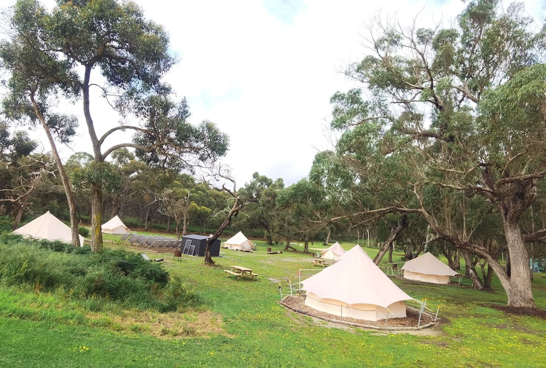Coonawarra Bush Holiday Park, Moon Lovers Glamping Tents - Coonaw...