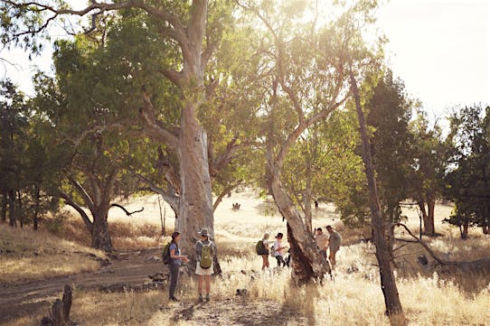 The Arkaba Walk - Hawker, Tour | trade.southaustralia.com