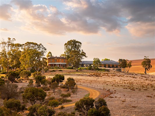 Kingsford The Barossa - Kingsford, Accommodation | South Australia