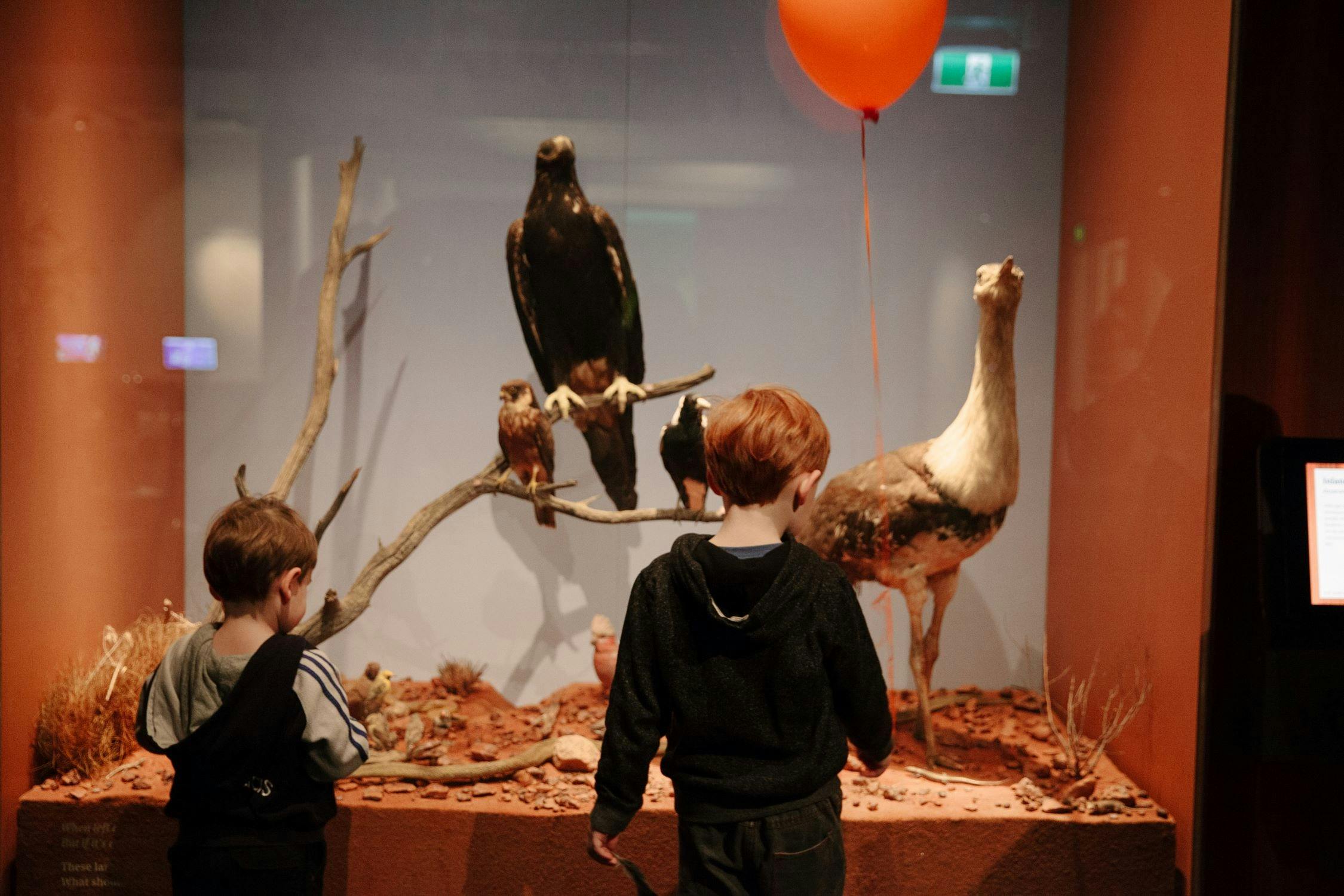 Experience Adelaide | South Australian Museum