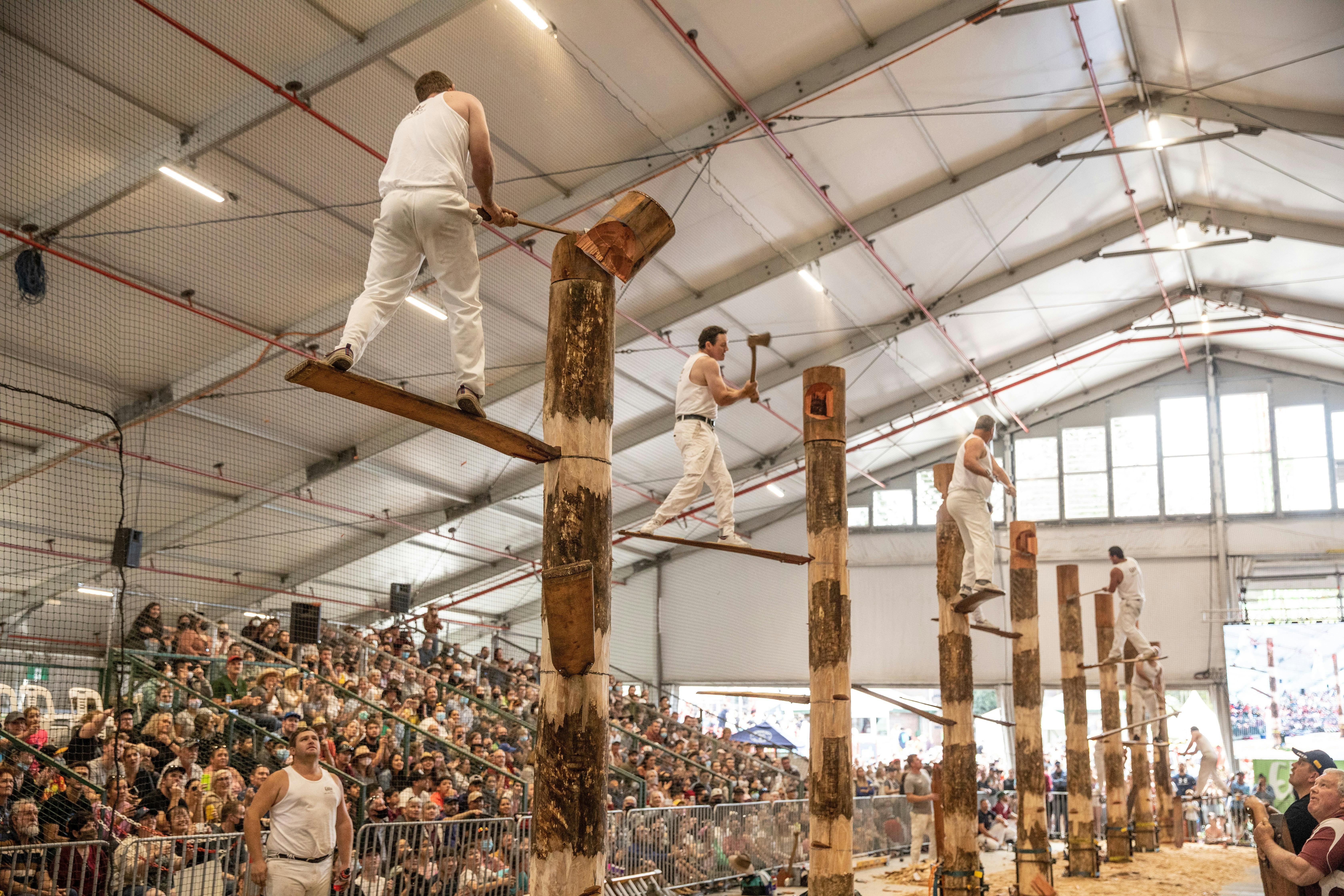Royal Queensland Show (Ekka)