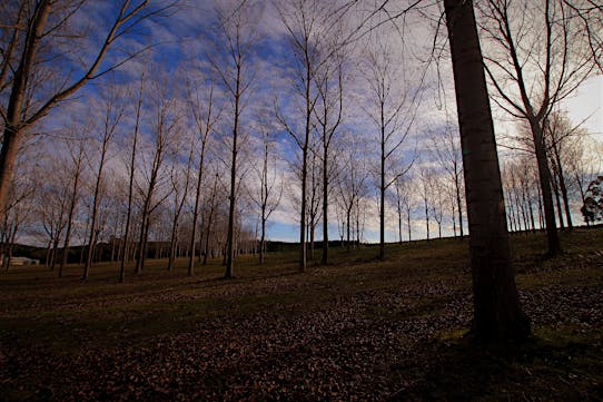 Mount Burr Township - Mount Burr, Attraction | South Australia