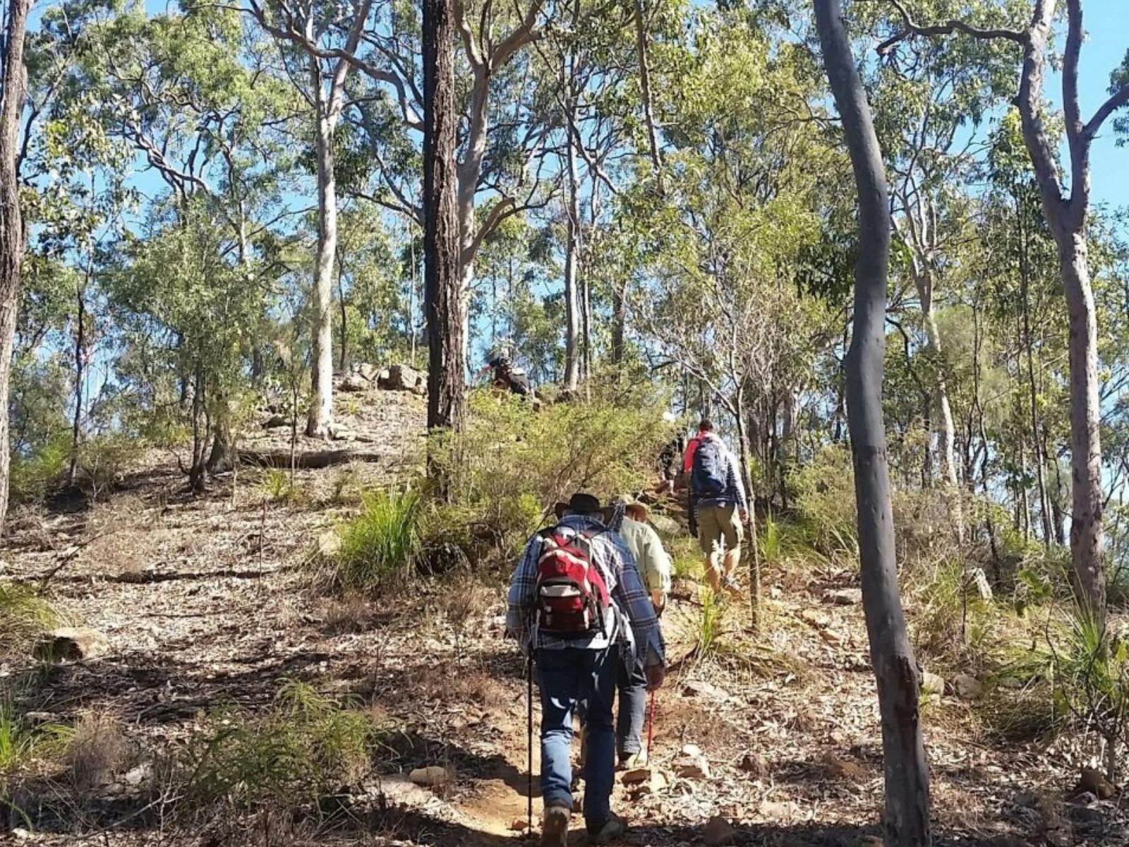 Spring Mountain Forest Park | Journeys | Queensland