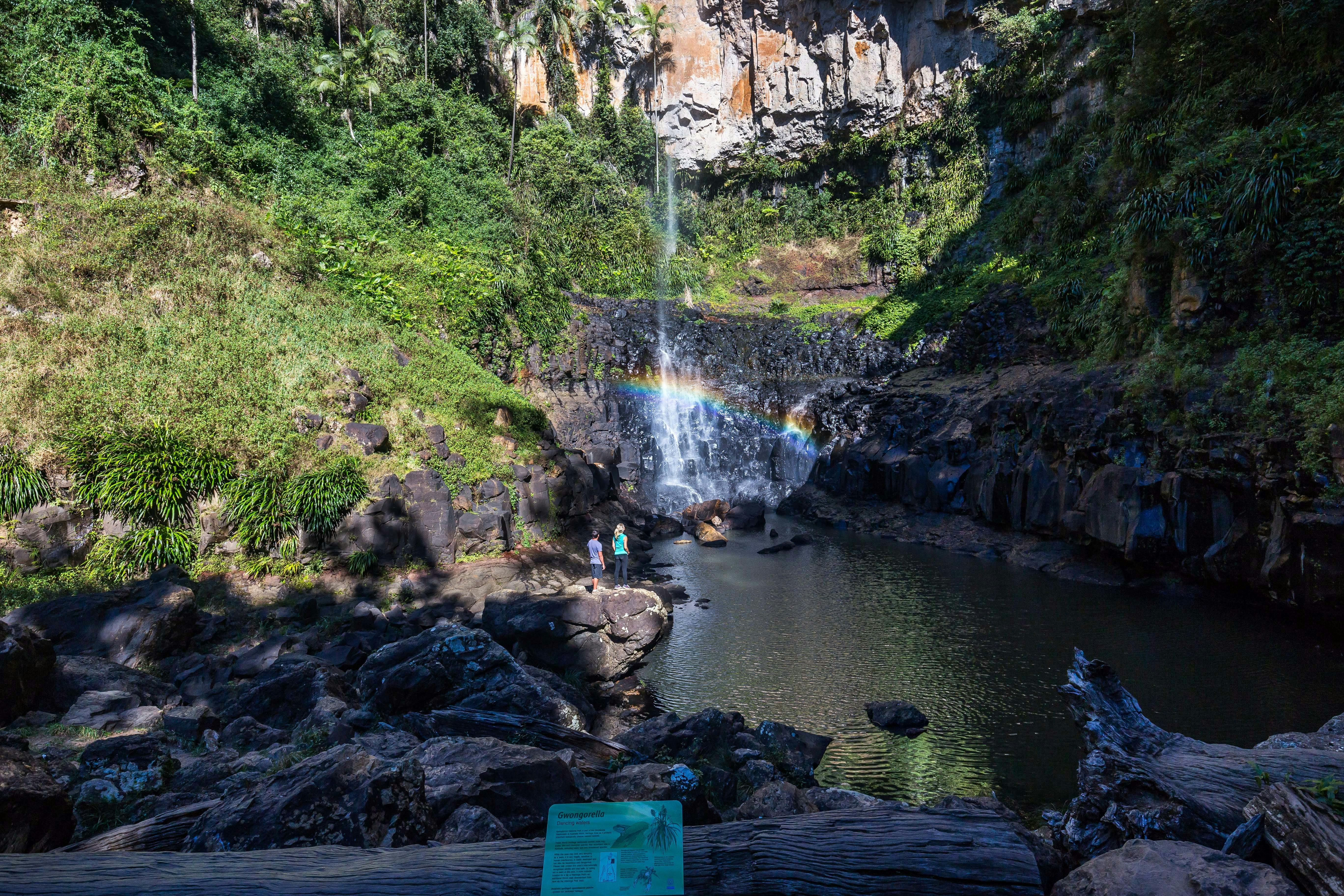 Purling Brook Falls Circuit Springbrook National Park | Journeys ...