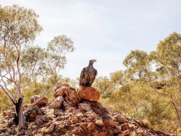 Overlanders Way Road Trip Itinerary | Queensland