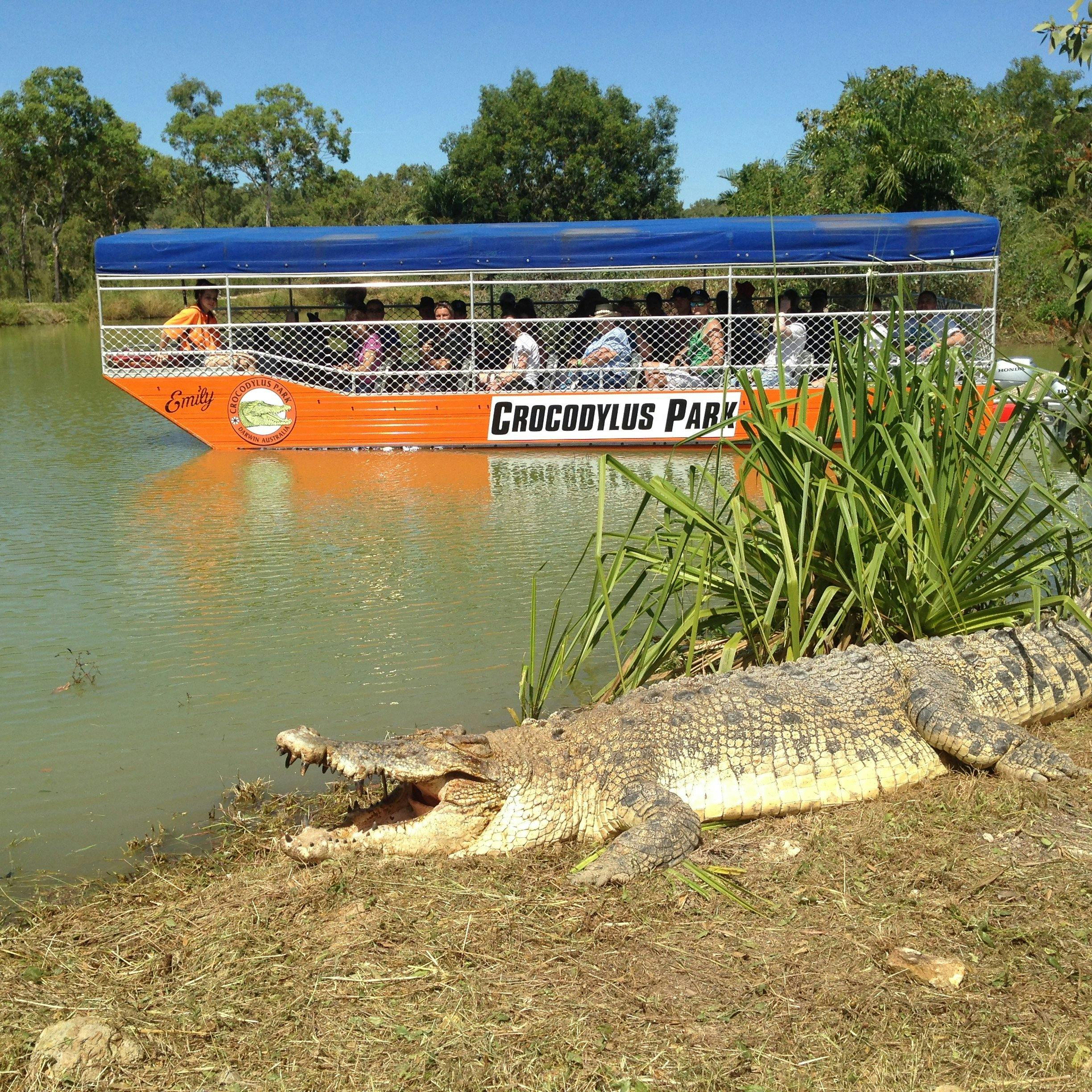 Family & kids activities in Darwin | Northern Territory, Australia