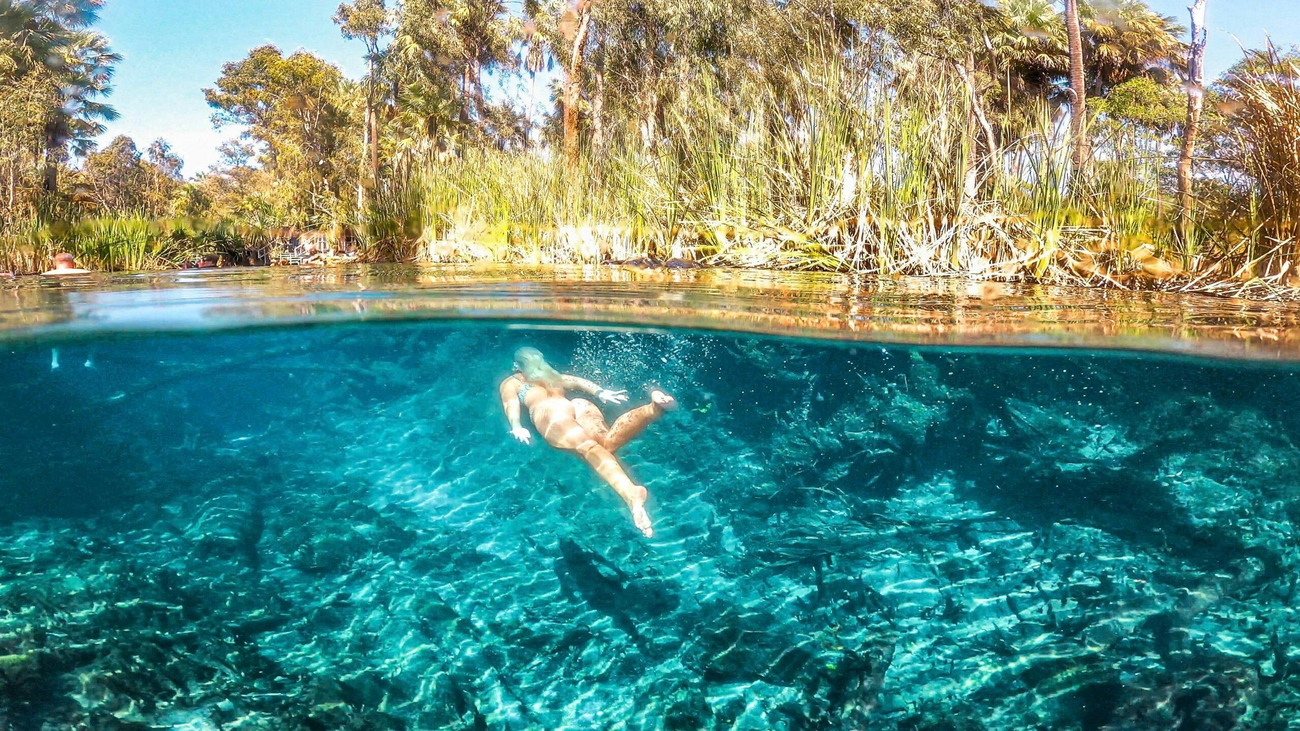 Katherine Gorge - Mataranka - Edith Falls | Adelaide river tour by NT ...