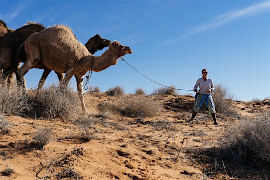 Camel Treks Australia and Nomadic Spirit Journeys - Copley, Tour ...