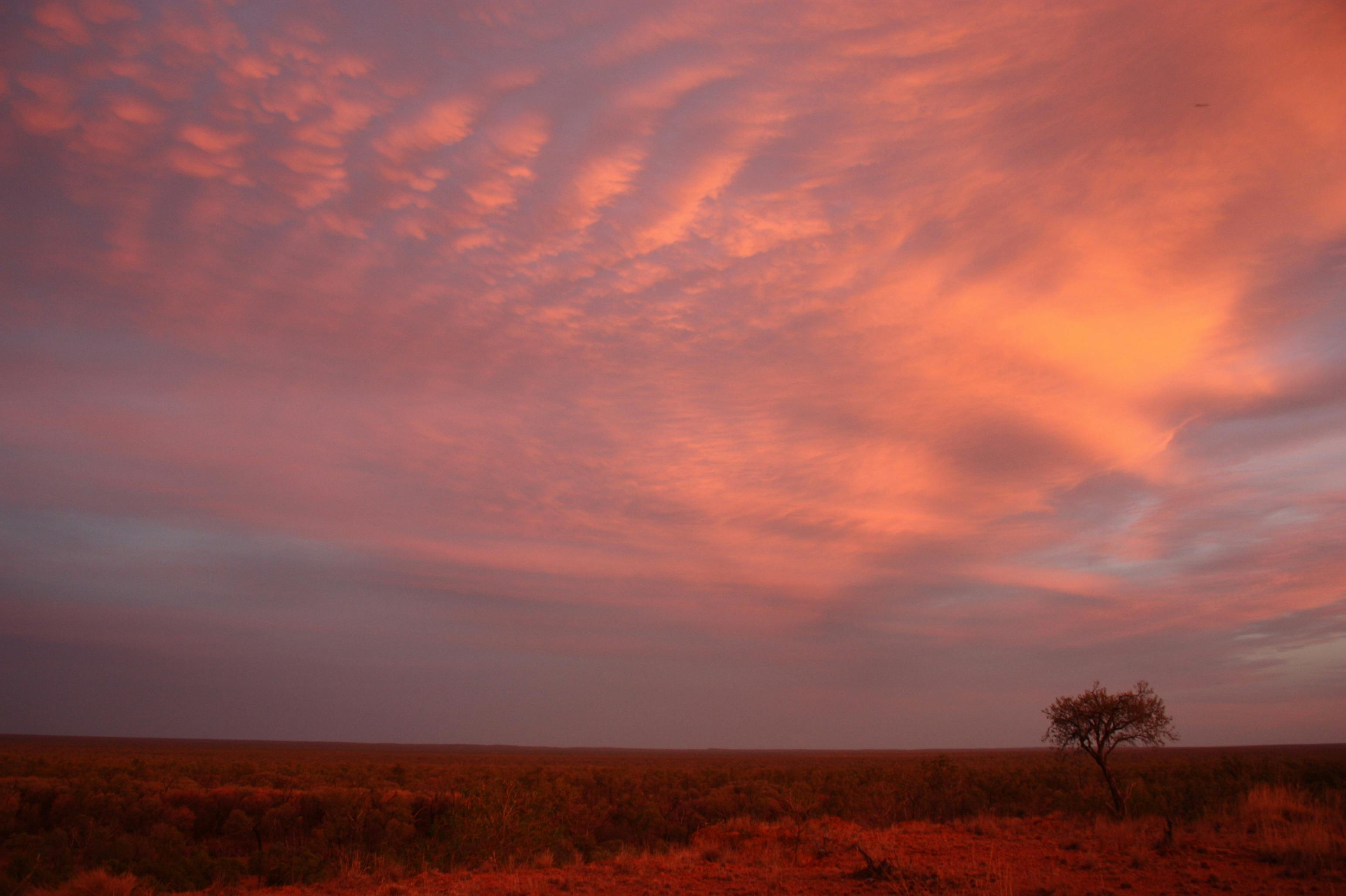 Outback Queensland Stratford Country - Outback Queensland