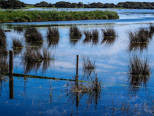 Lake Frome Conservation Park - Beachport, Attraction | South Australia