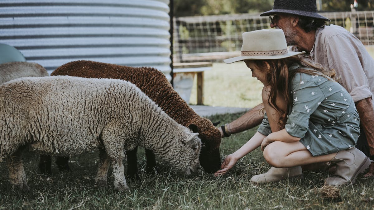 Sixty6 Acres Woombye | Accommodation | Queensland