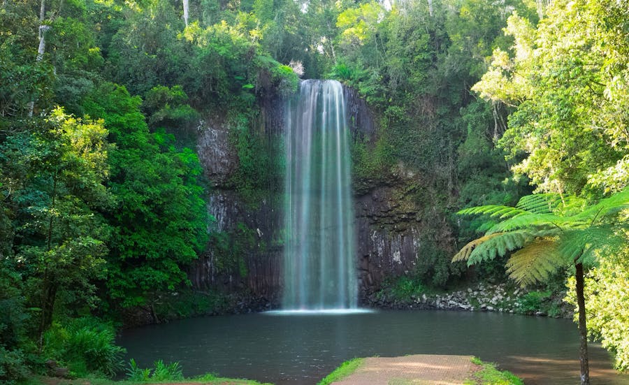 Millaa Millaa Falls | Cairns & Great Barrier Reef