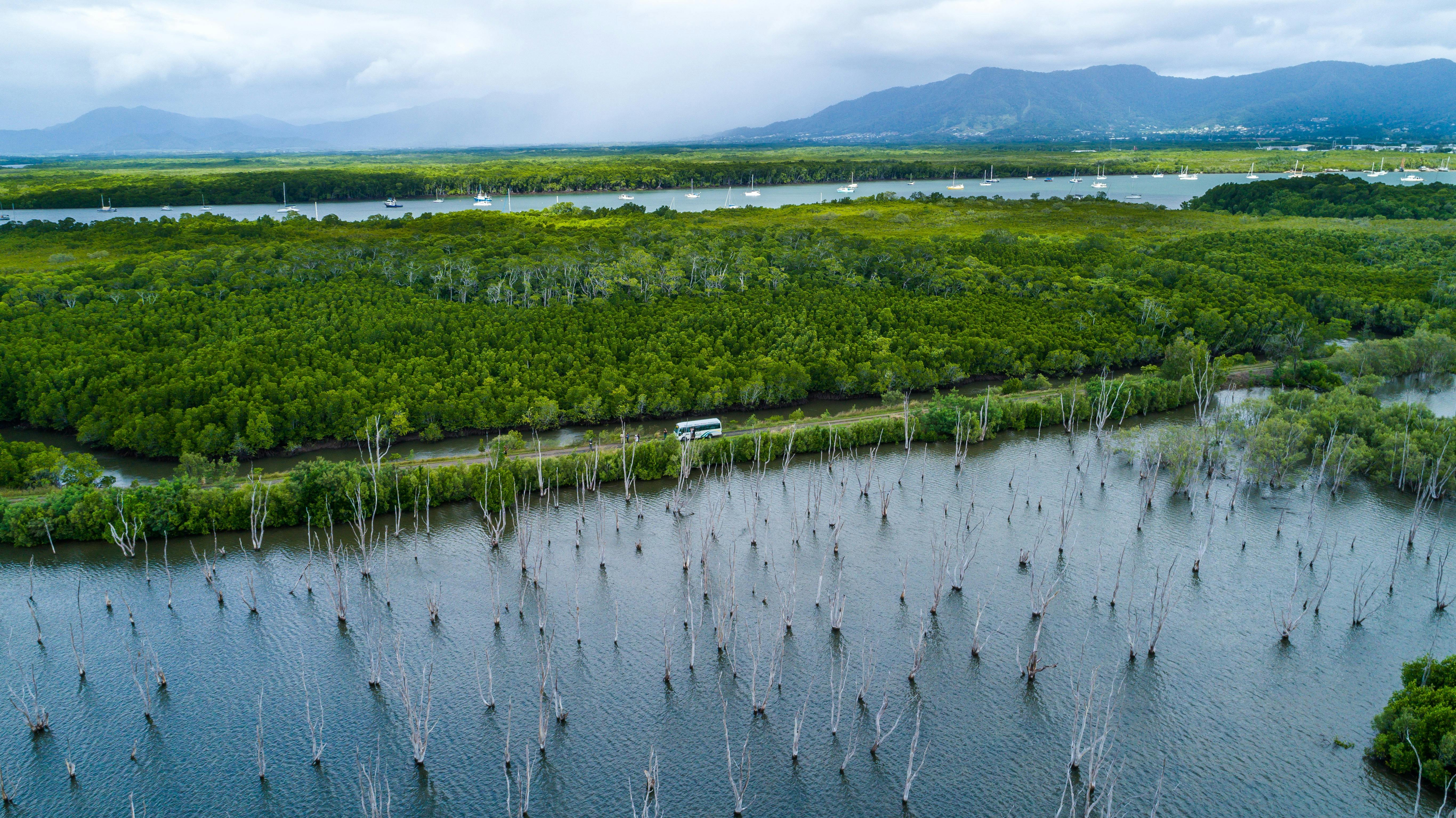 Mandingalbay Authentic Indigenous Tours | Tours | Queensland