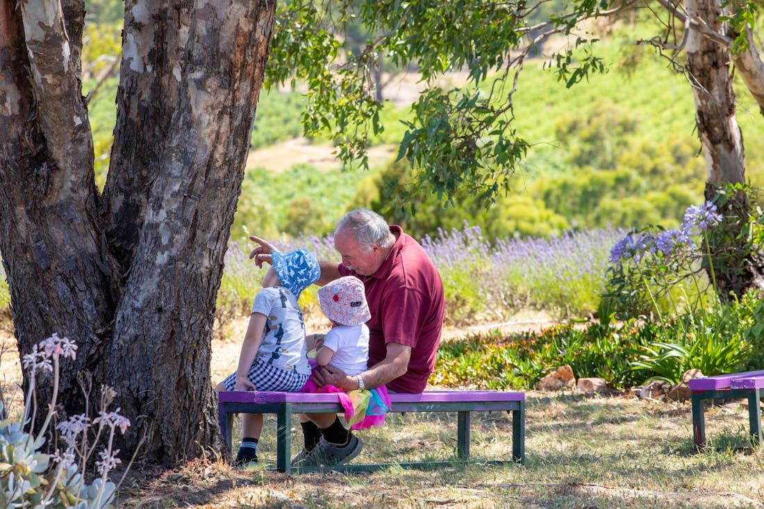 Lyndoch Lavender Farm & Cafe Self-Guided Tours - Lyndoch, Tour