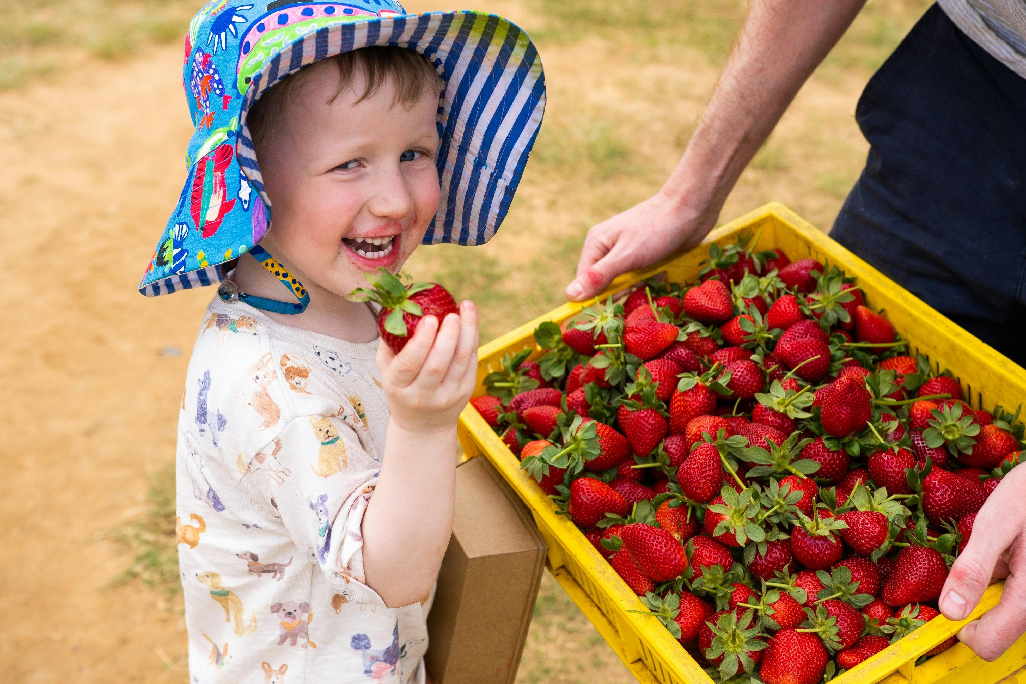 LuvaBerry Strawberry Farm