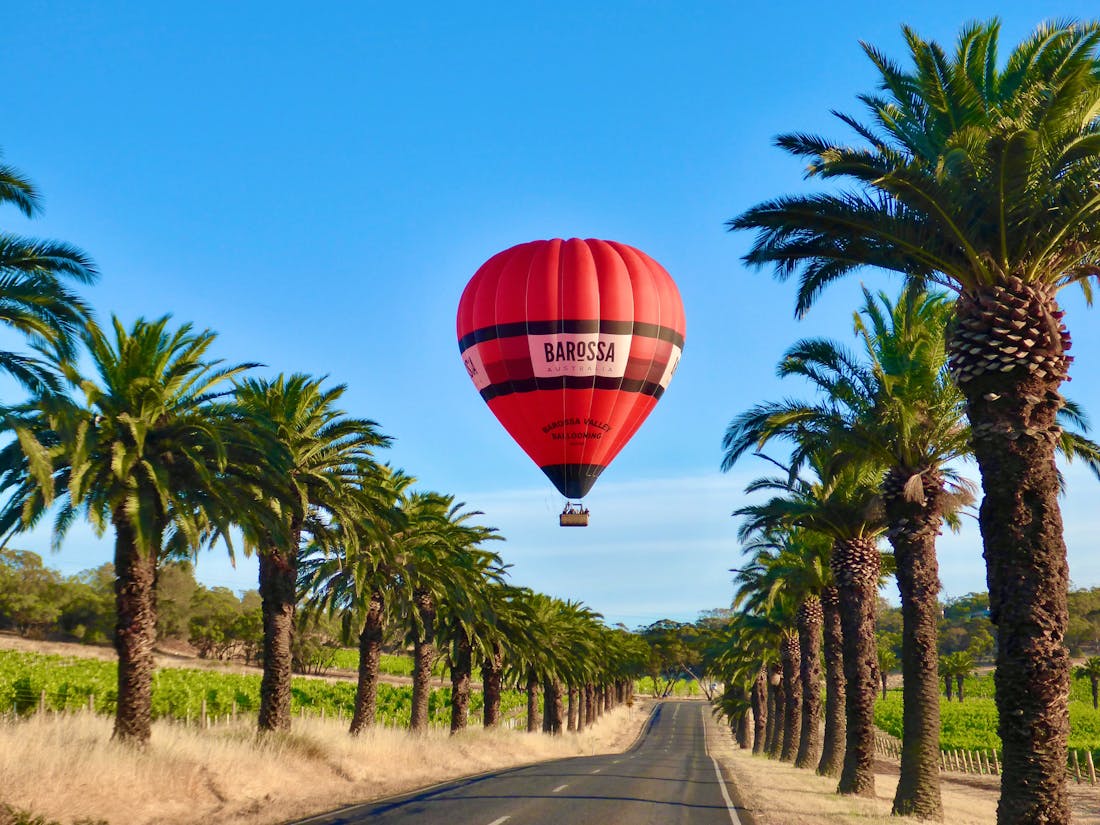 Hot air balloon adelaide store