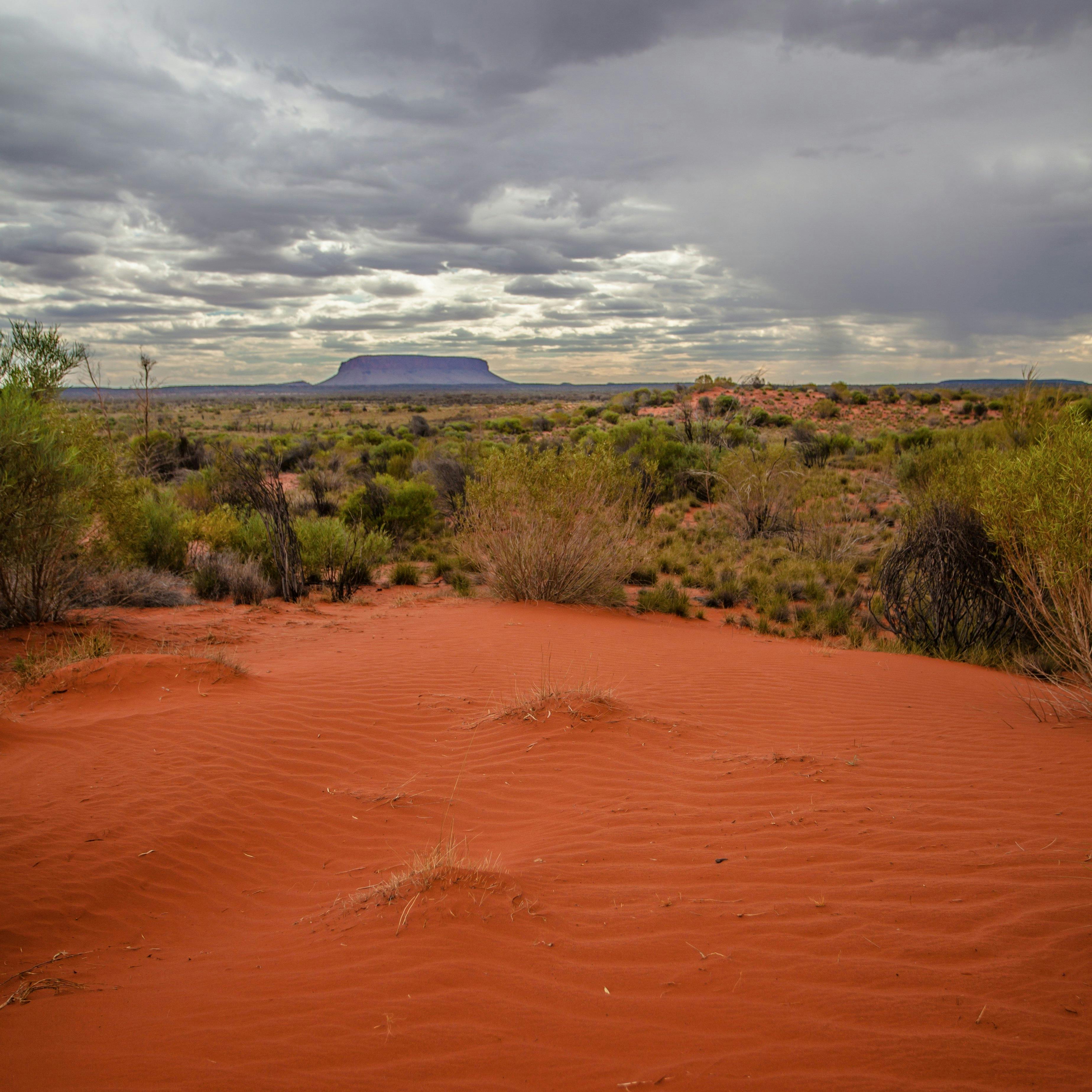 Mt Conner 4WD Outback Adventure | tour by SEIT Tours