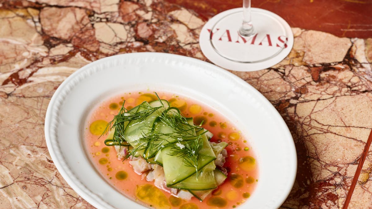 Yamas Greek And Drink | Food-and-drink | Queensland