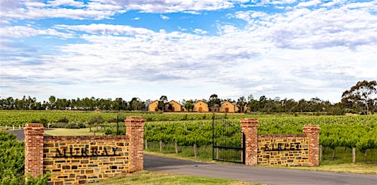 Murray Street Vineyards - Greenock, Food and Drink | South Australia