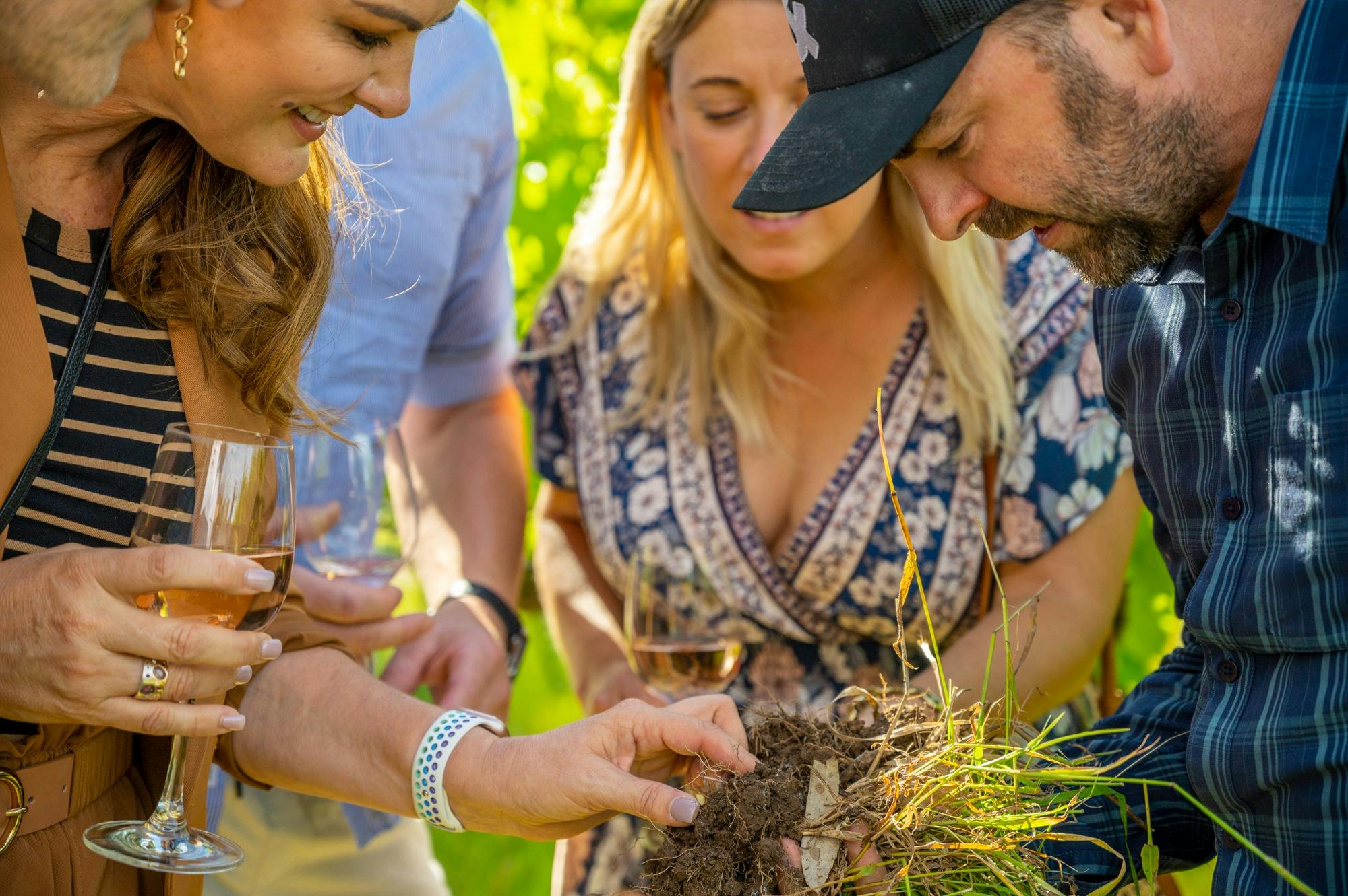 Small Batch Wine Tours - Barossa