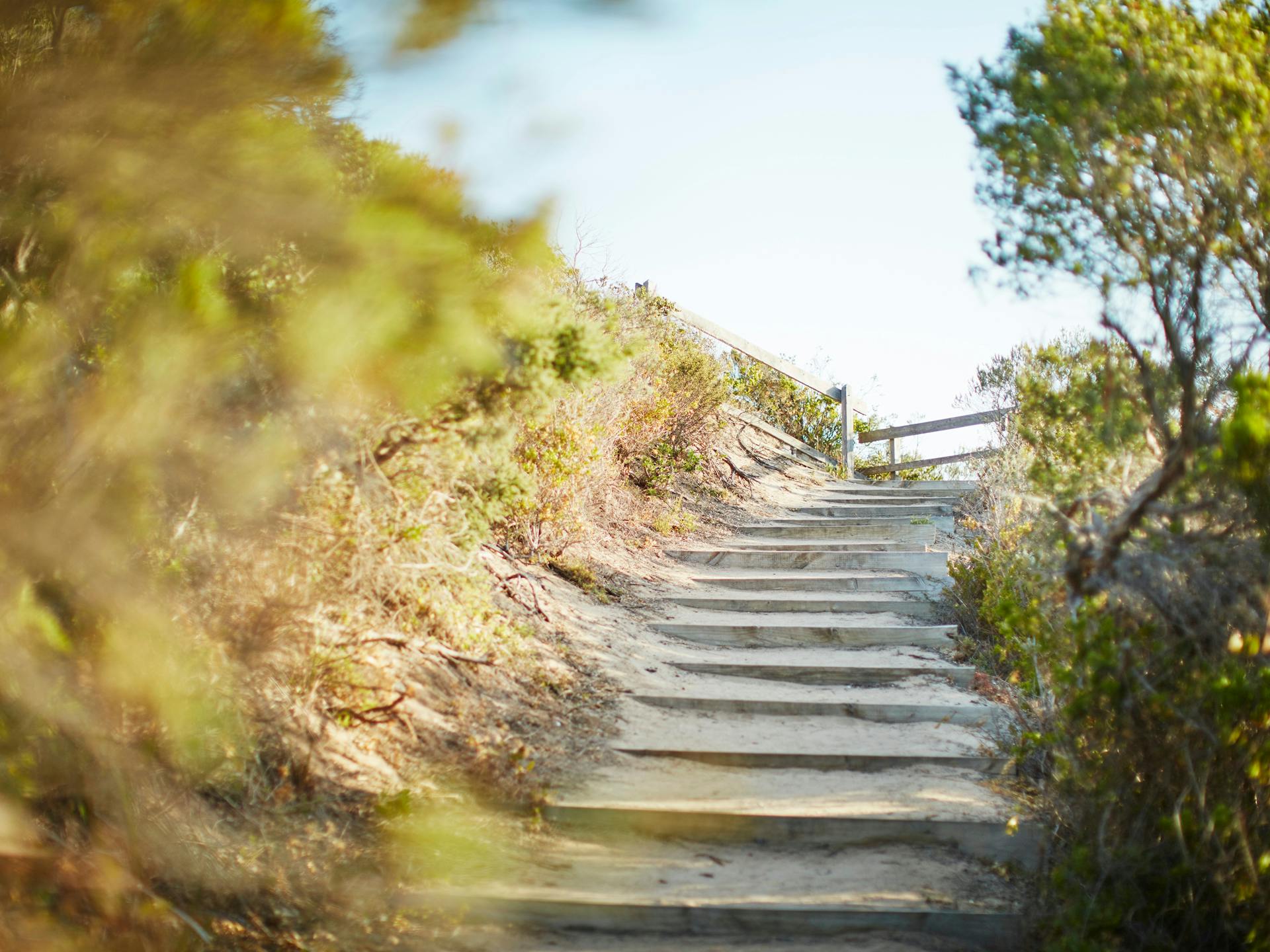 Coppins Walk Track (part of The Coastal Walk) in Sorrento - The Fold ...