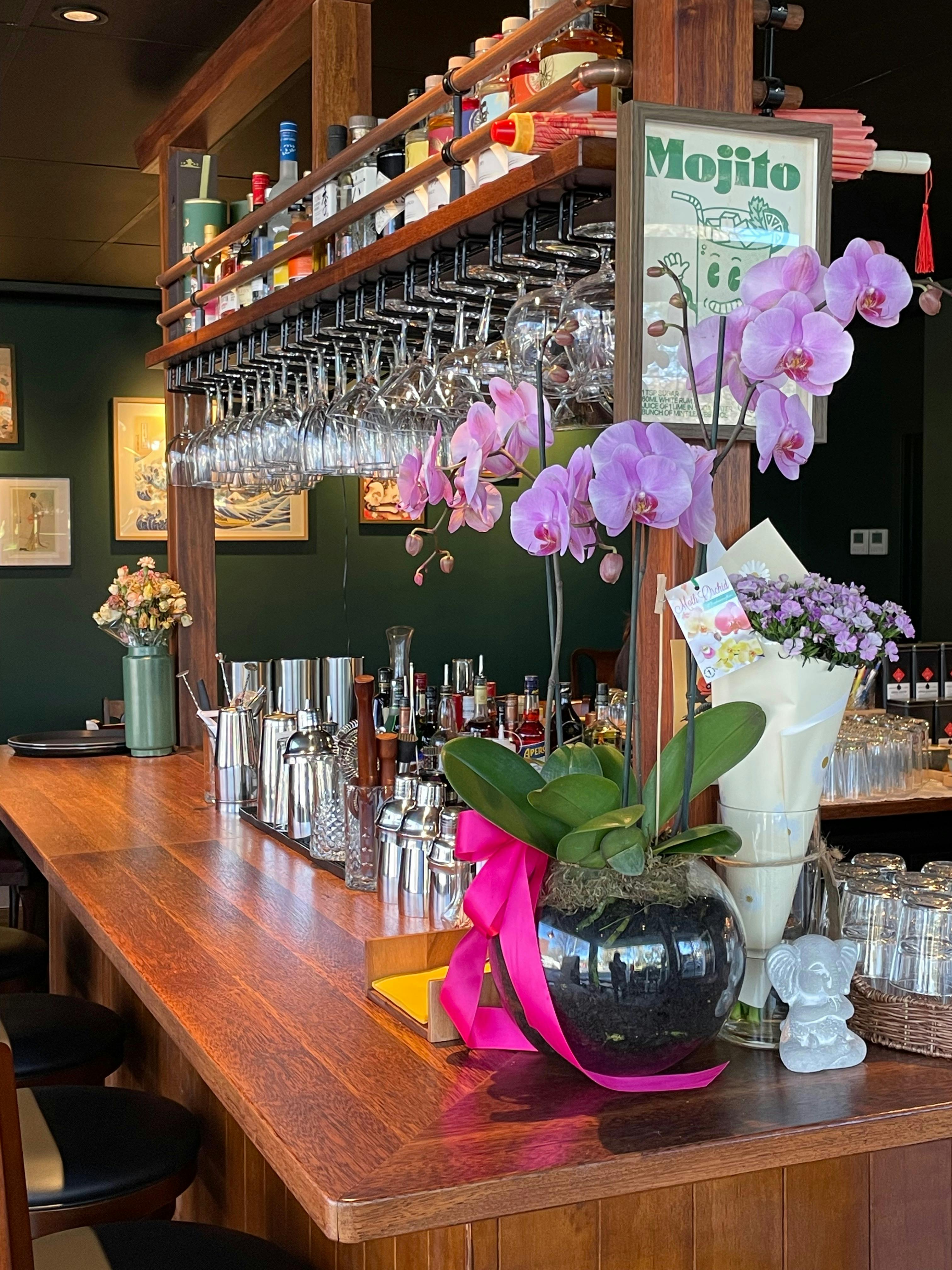 Experience Adelaide | CHACHA BAR