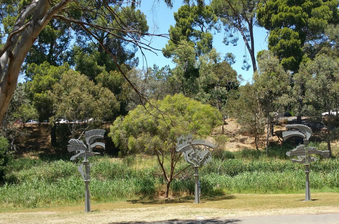 Guided Walk through Mistletoe Park / Tainmuntilla (Park 11 North)...