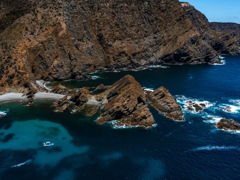 Research and Discovery Coastal Tours, Kangaroo Island (RAD KI ...
