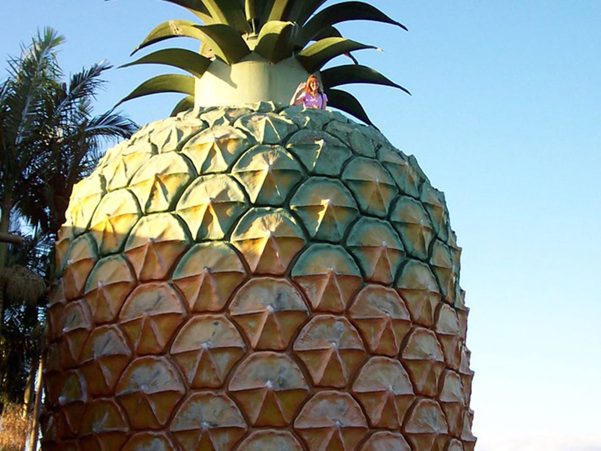 The Big Pineapple - Visit Sunshine Coast